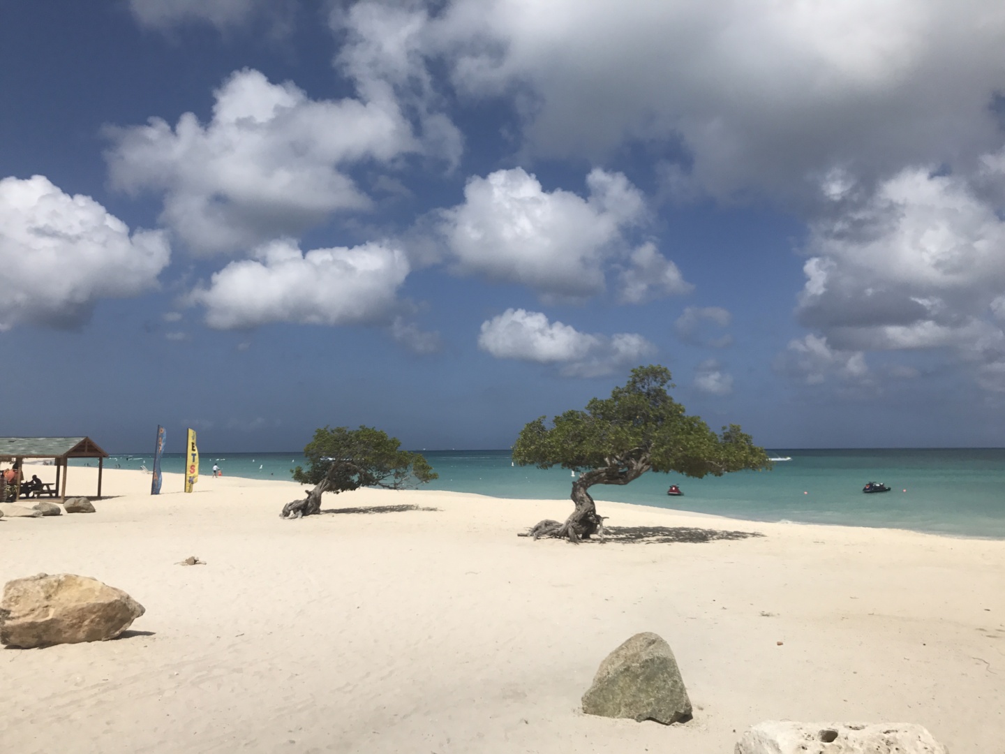 Beautiful Beaches of Aruba - Wanderlust Bee