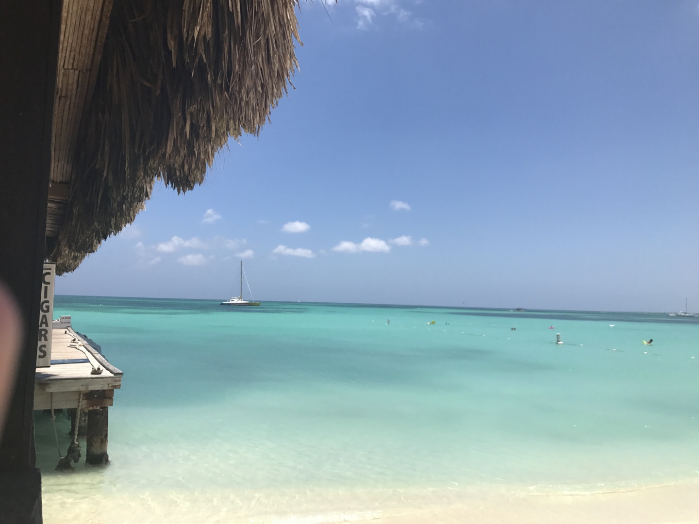 Beautiful Beaches of Aruba - Wanderlust Bee